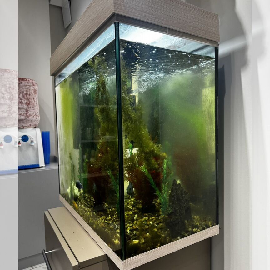 Аквариум под ключ с рыбами