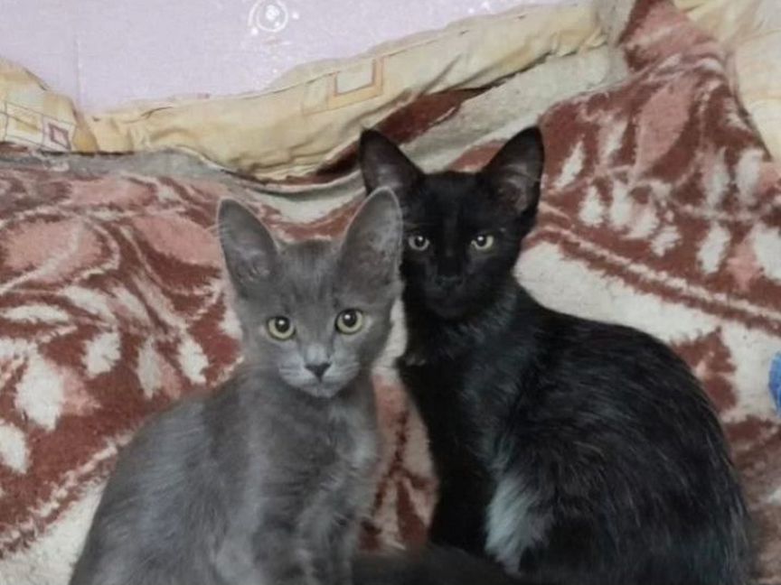 Опять на улицу