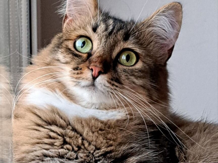 Фасолька 1год