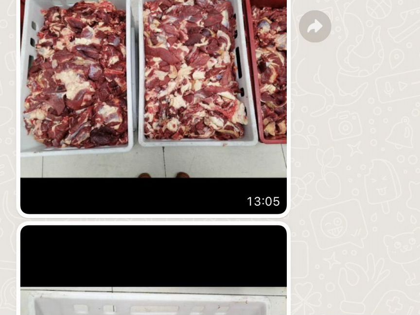 Мясо говядина для собак