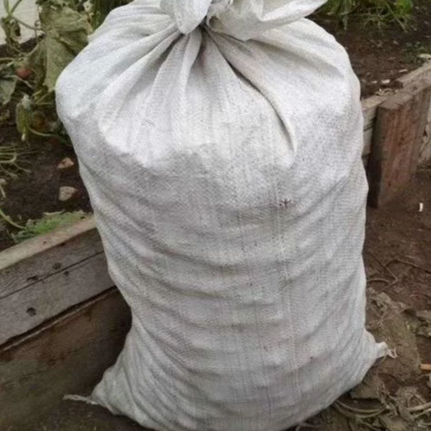 Картофель мелкий для скота