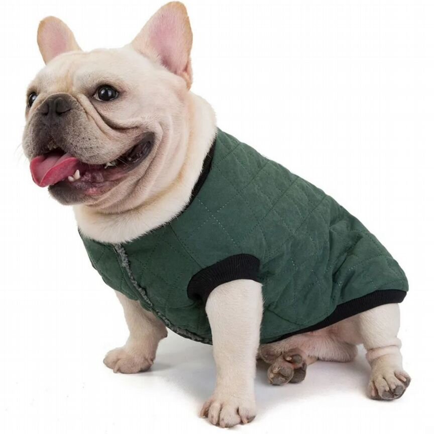 Зимняя куртка для французского бульдога XL новая