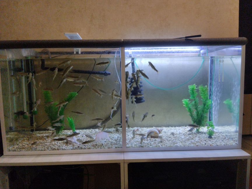 Аквариум 330 литров и 120 литров