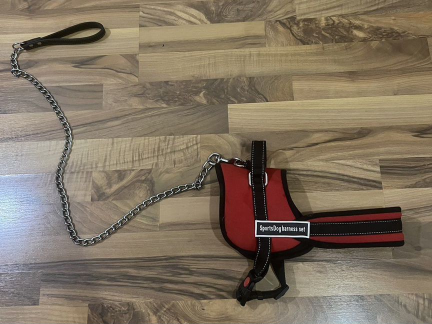 Шлейка с поводком