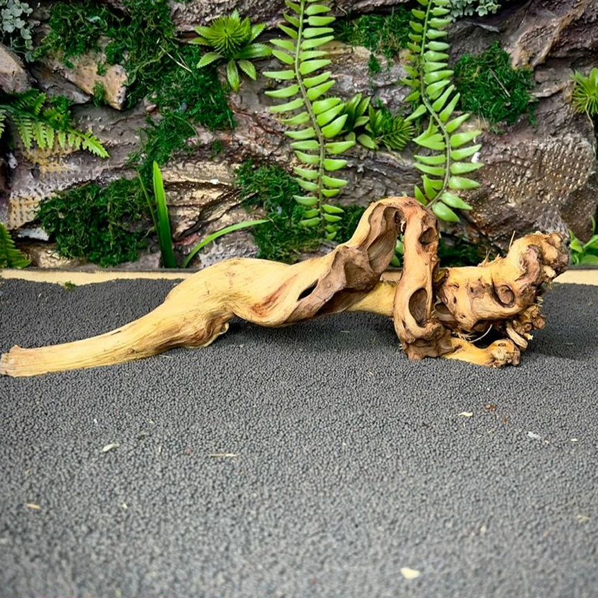 Коралловое дерево/Coral Wood кд1168