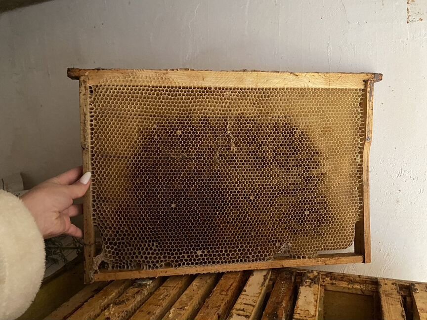 Рамки с вощиной