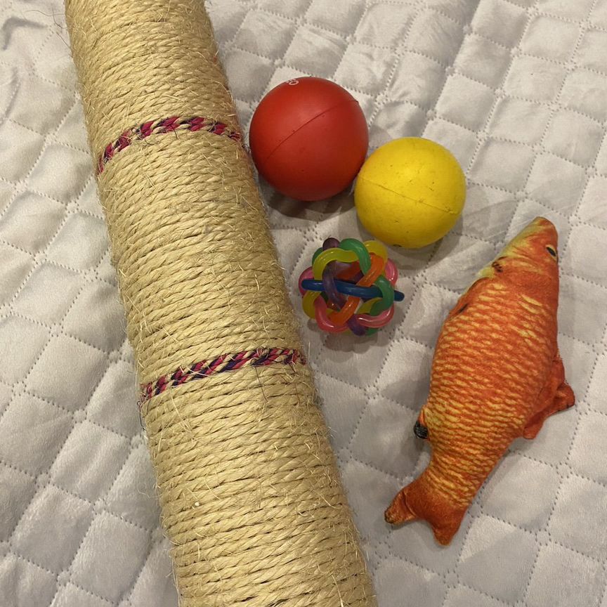 Когтеточка для кошек