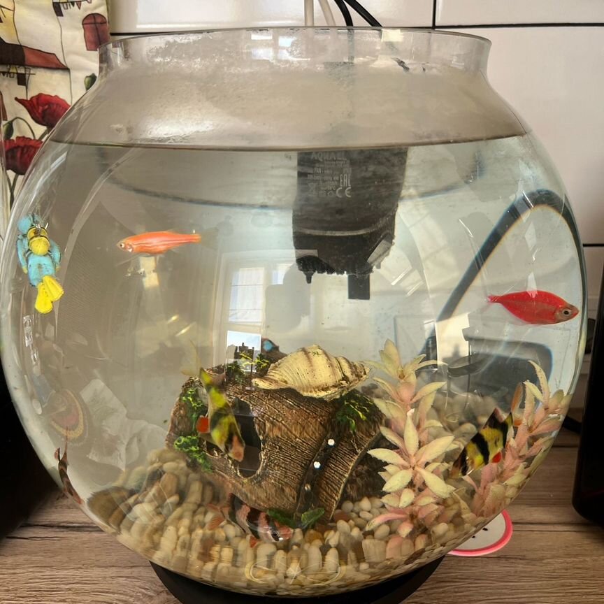 Аевариум круглый 30 литров с компрессором и рыбкам