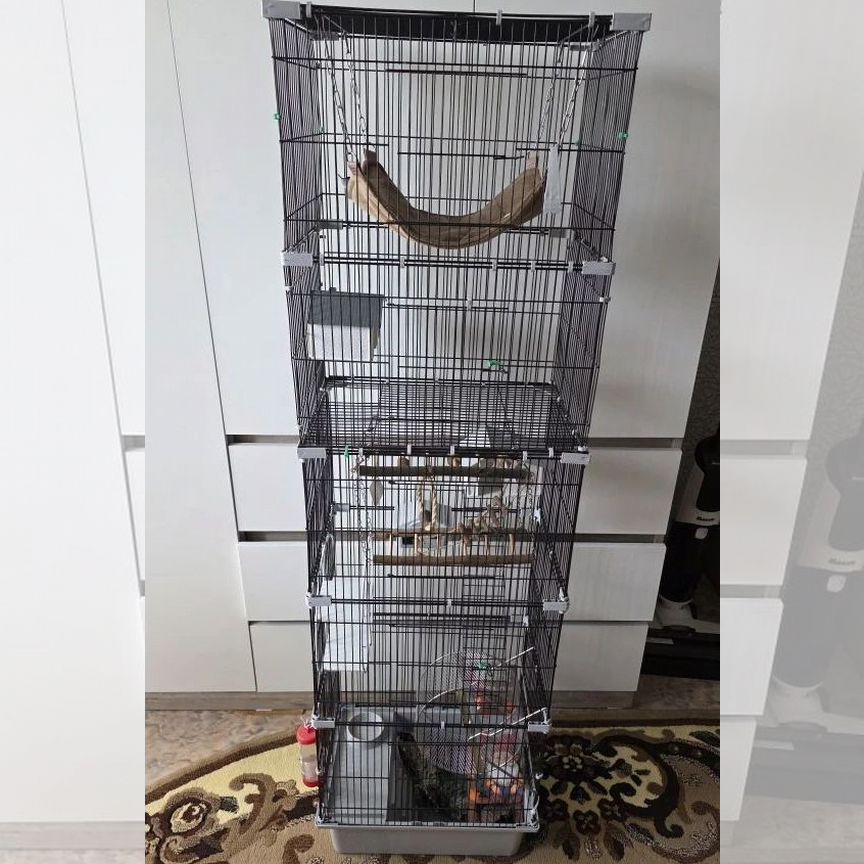 Клетка для грызунов очень большая