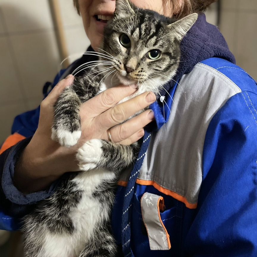 Серёге нужен дом