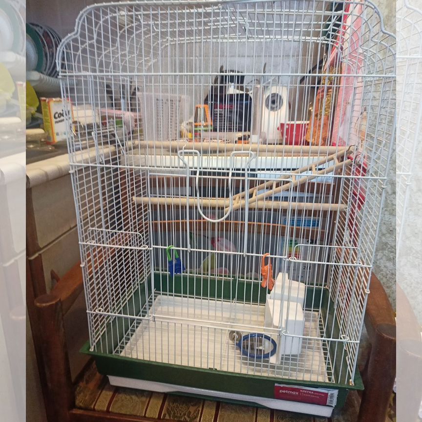 Клетка для птицы