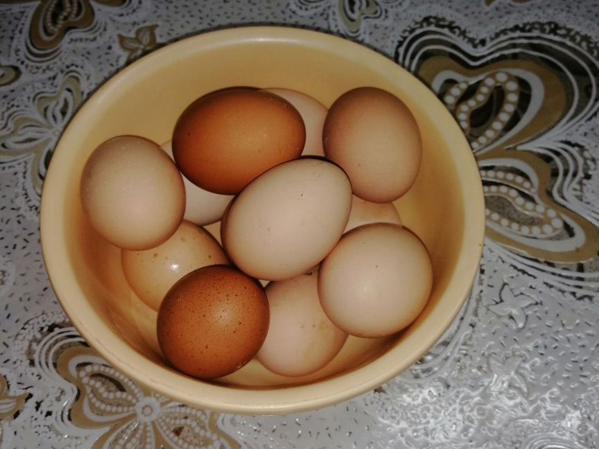 Инкубационное яйцо