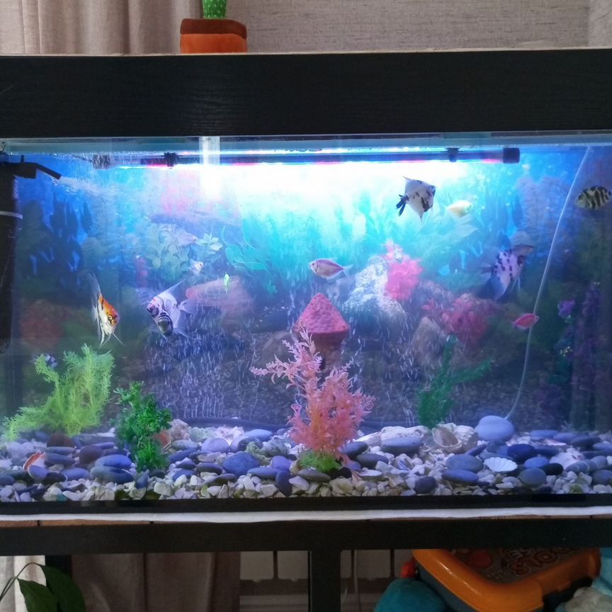 Продаю аквариум на 200 литров