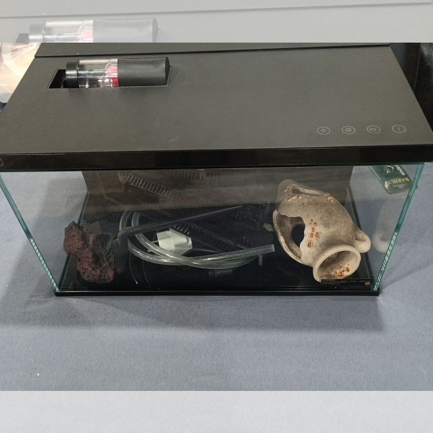 Аквариум хайоми