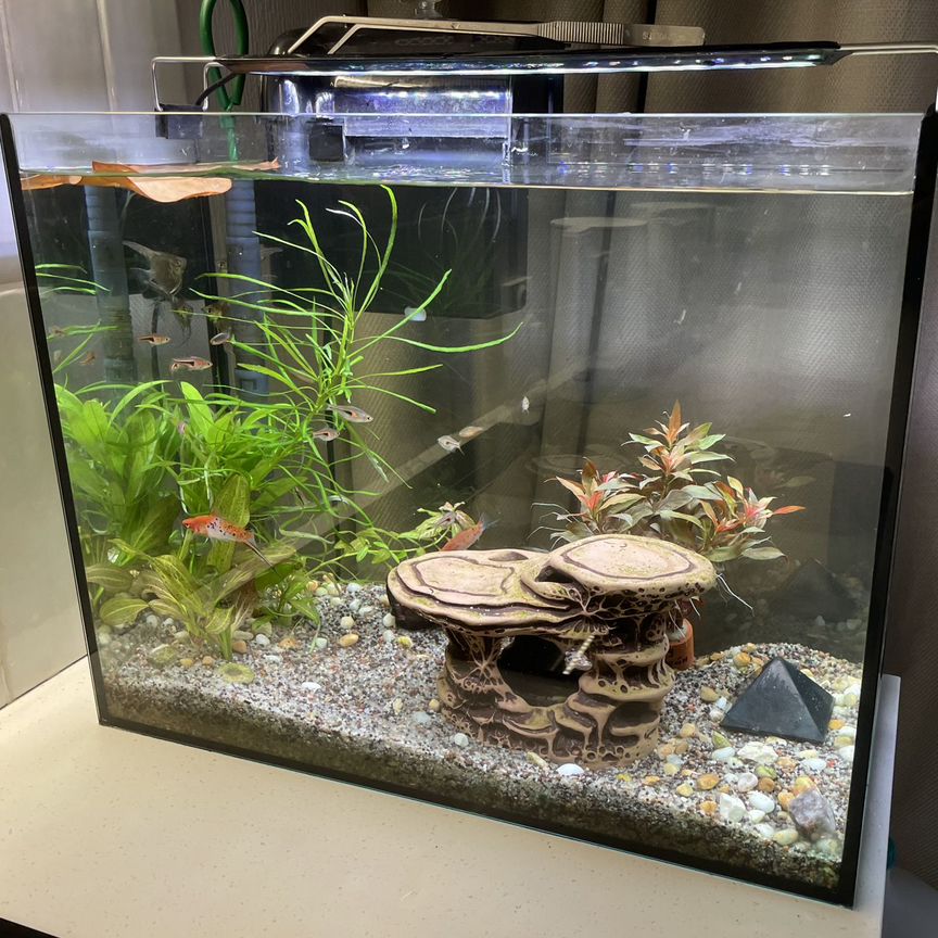 Аквариум 50 литров  фильтр