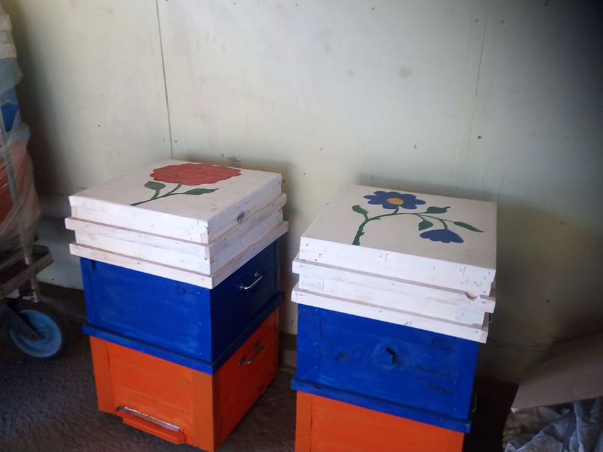 Улики 12 рамочные 2 корпуса на 300