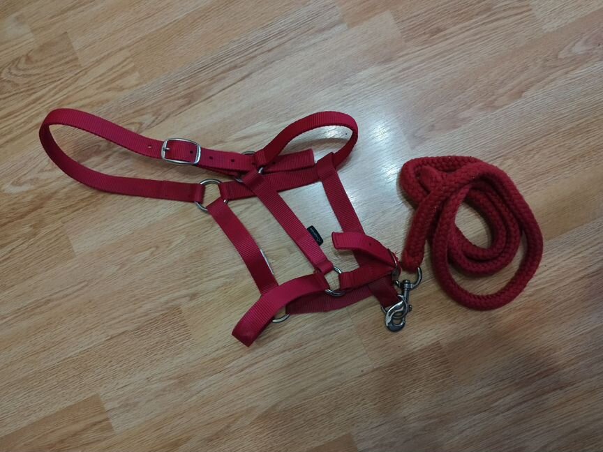 Конная амуниция, недоуздок и чембур