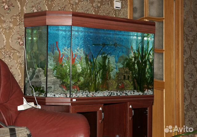 Аквариумы (250+100+30) + рыбки, одним лотом