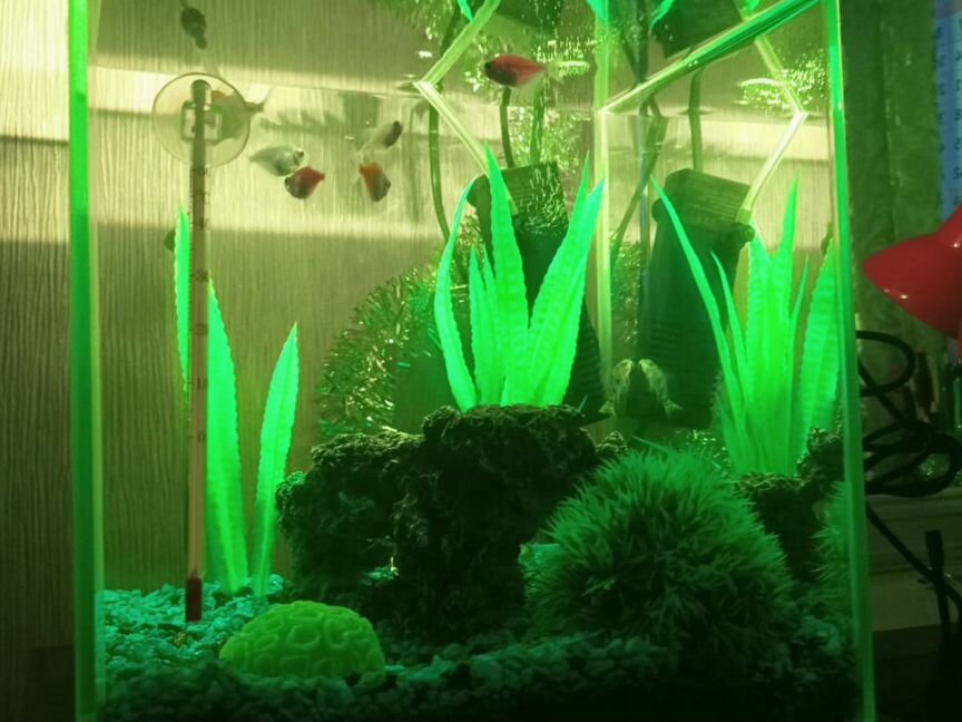 Аквариум куб