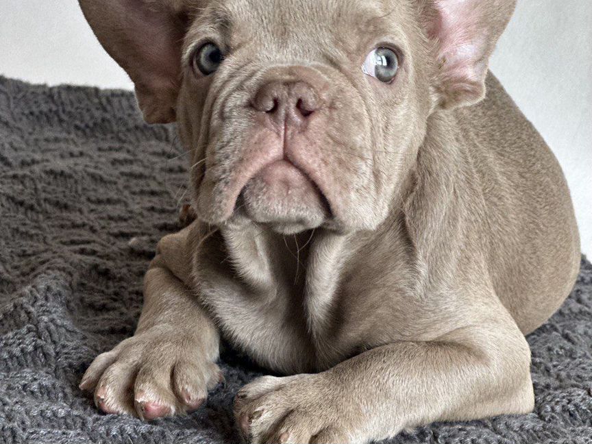 Малыш с классной мимикой