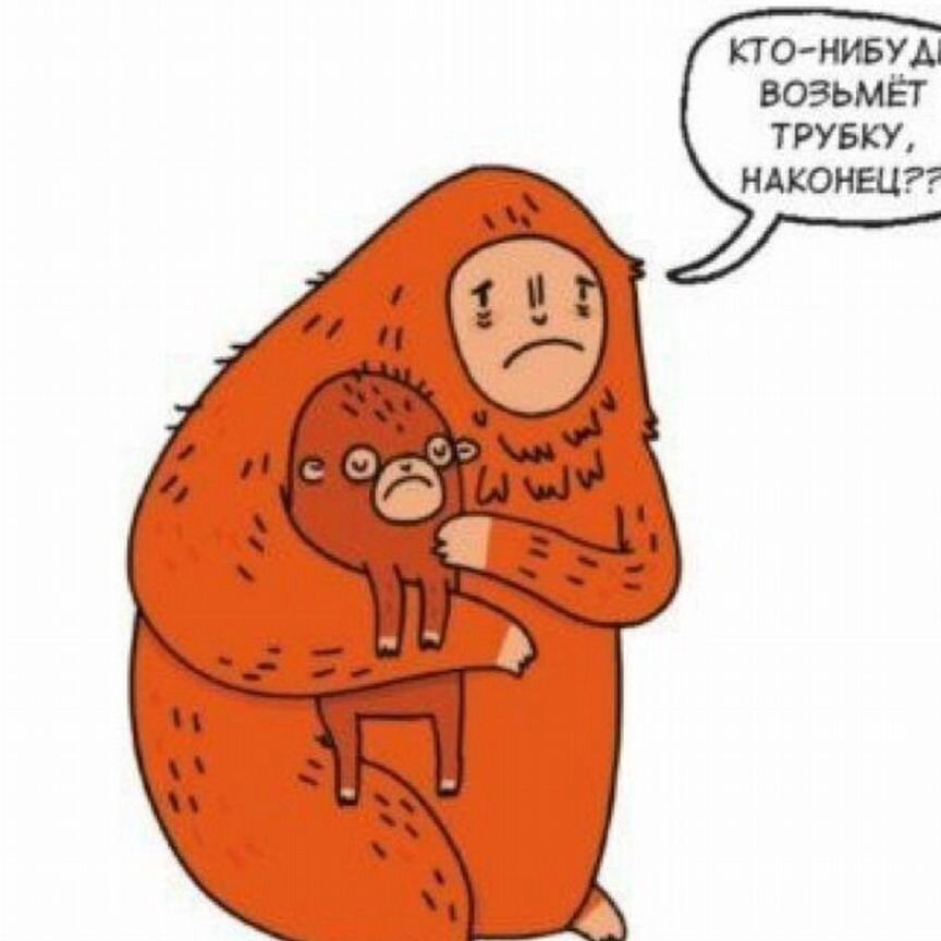 Котенка/собачку на пару часов