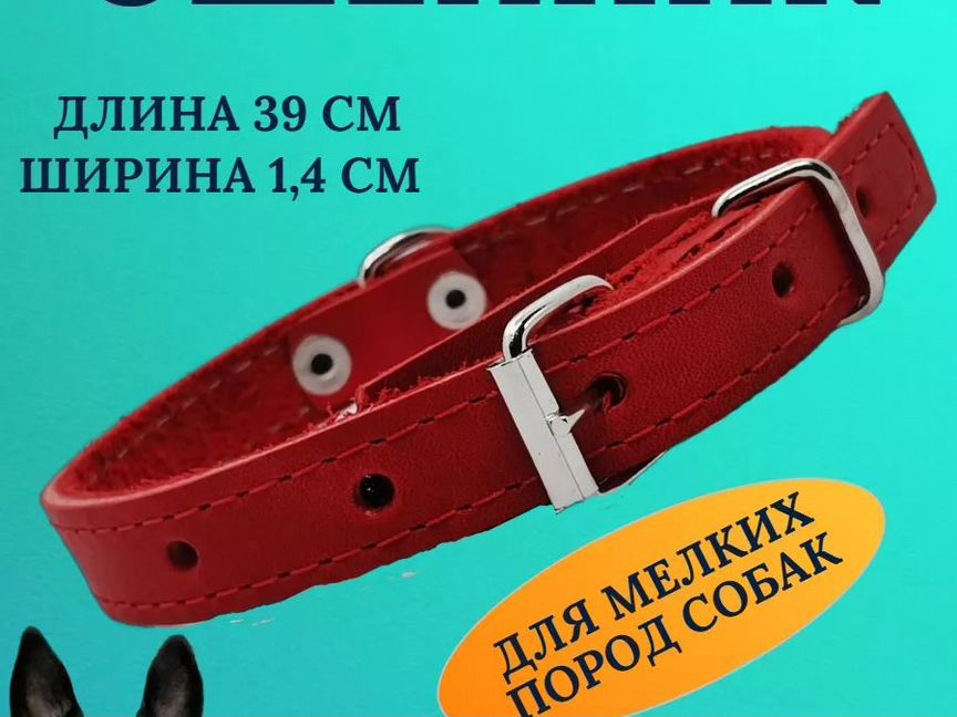 Ошейник кожаный для маленькой собаки