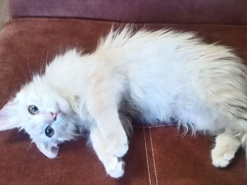 Пацан ищет своего человека