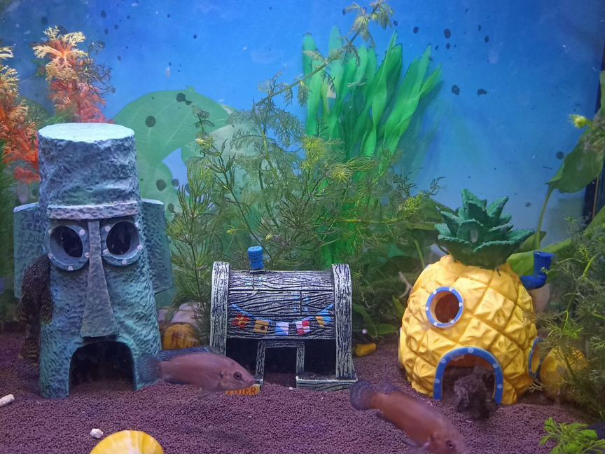 Украшение для аквариума