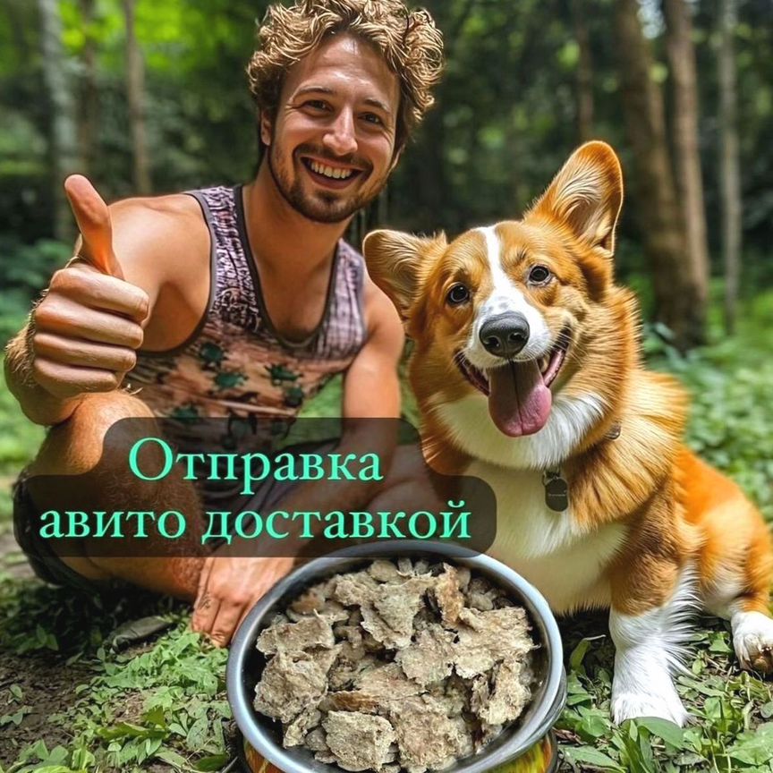 Корм для собак от производителя