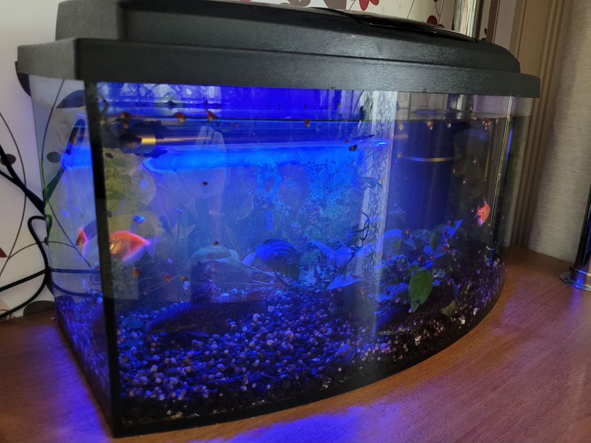 Аквариум с крышкой 62*23