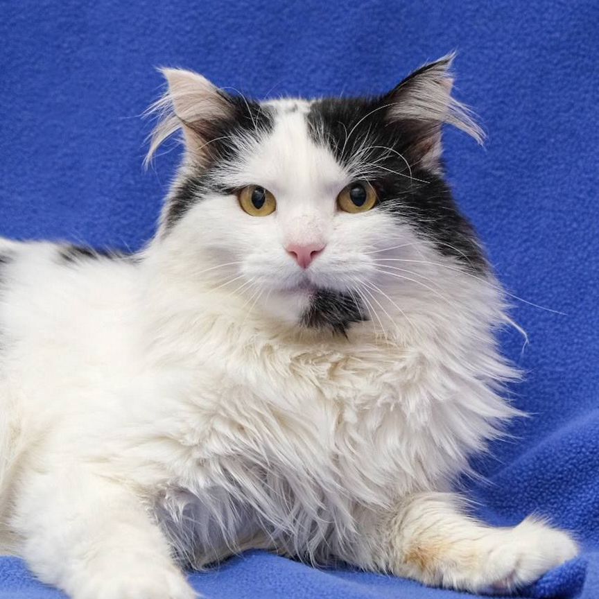 Фидель обеспечит Вашу жизнь радостью и счастьем