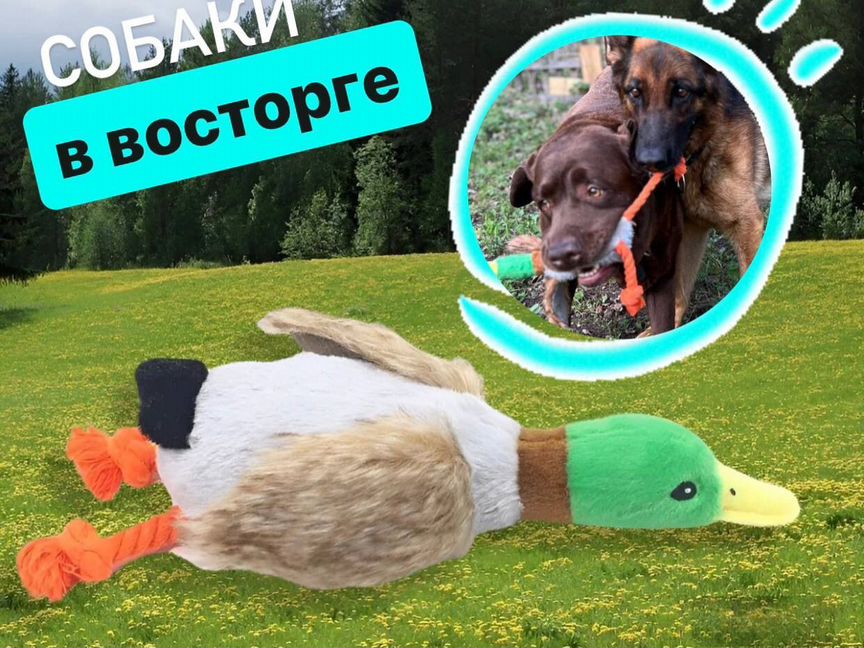 Игрушка утка для собак