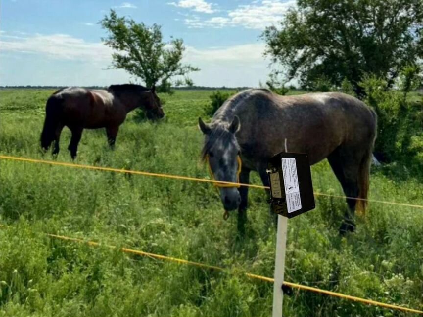 Электропастух с завода для молочных крс