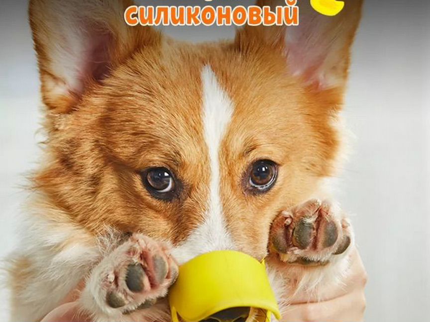 Намордник для собак