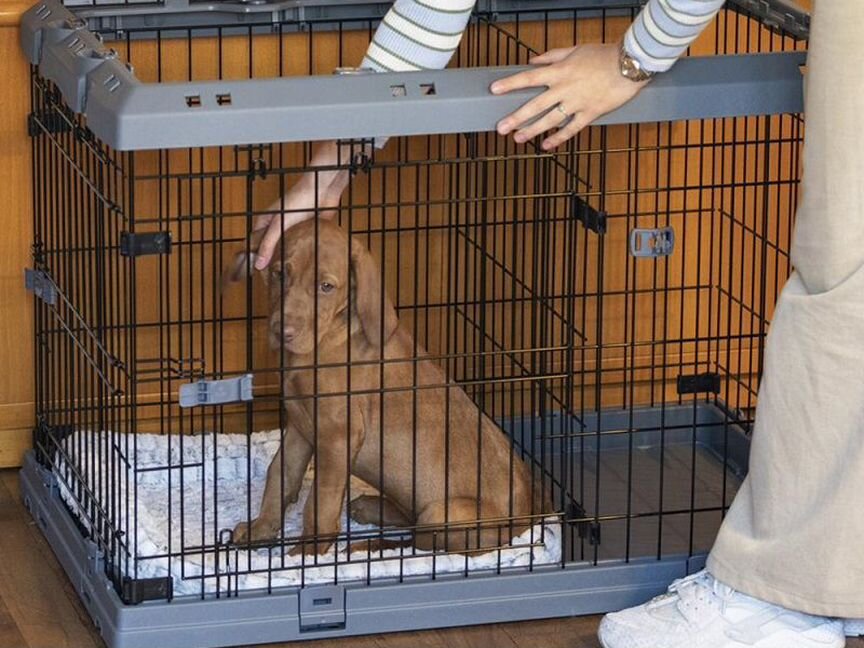 Клетка для собаки