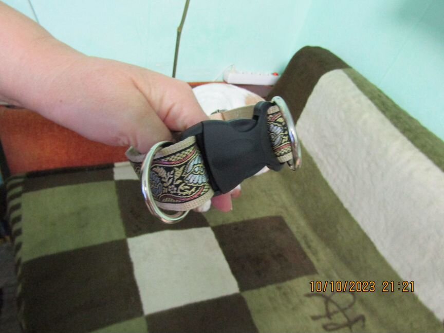 Ошейник для собак