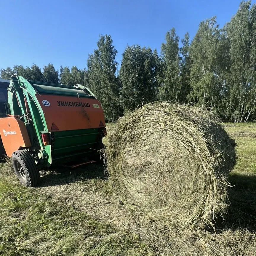 Продам сено в рулонах