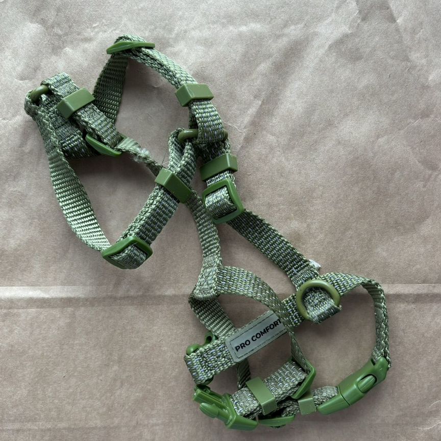 Амуниция для собак шлейка procomfort и намордник