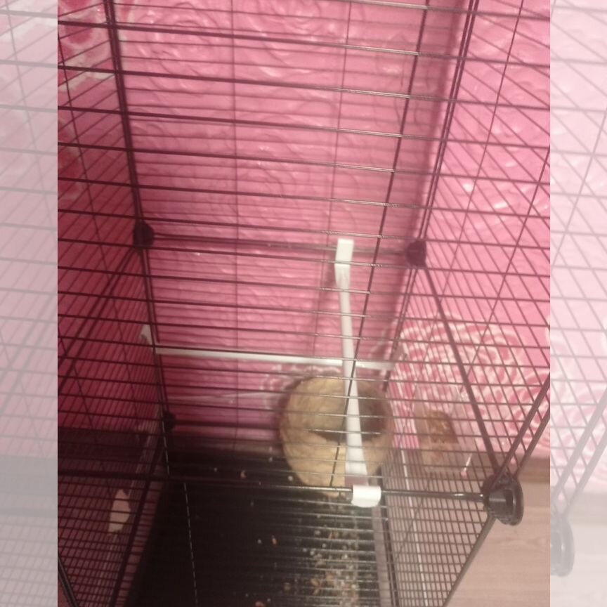 Клетка для попугая