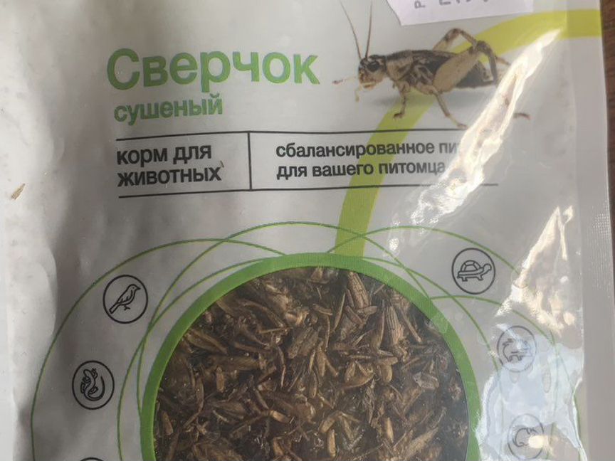 Сверчок сушеный кормовой 20гр