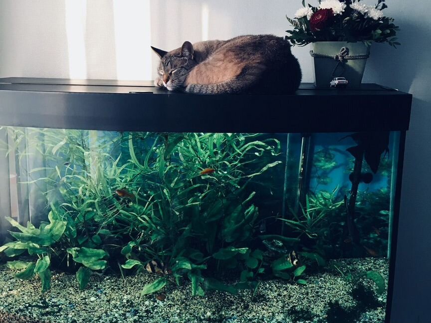 Аквариум 450л