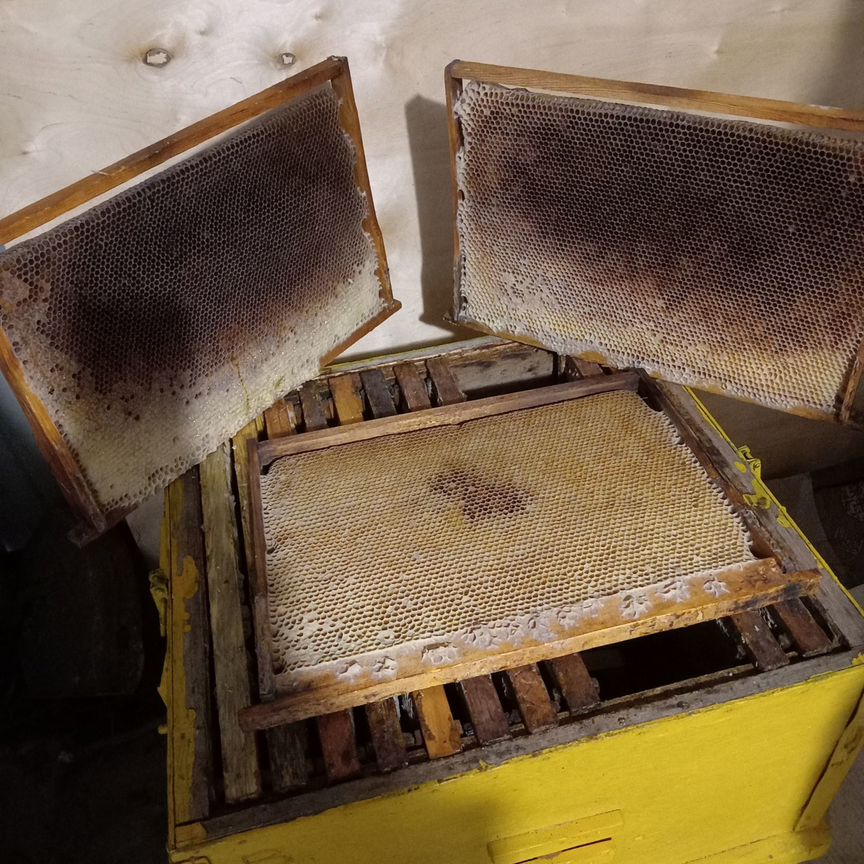 Ульи для пчёл