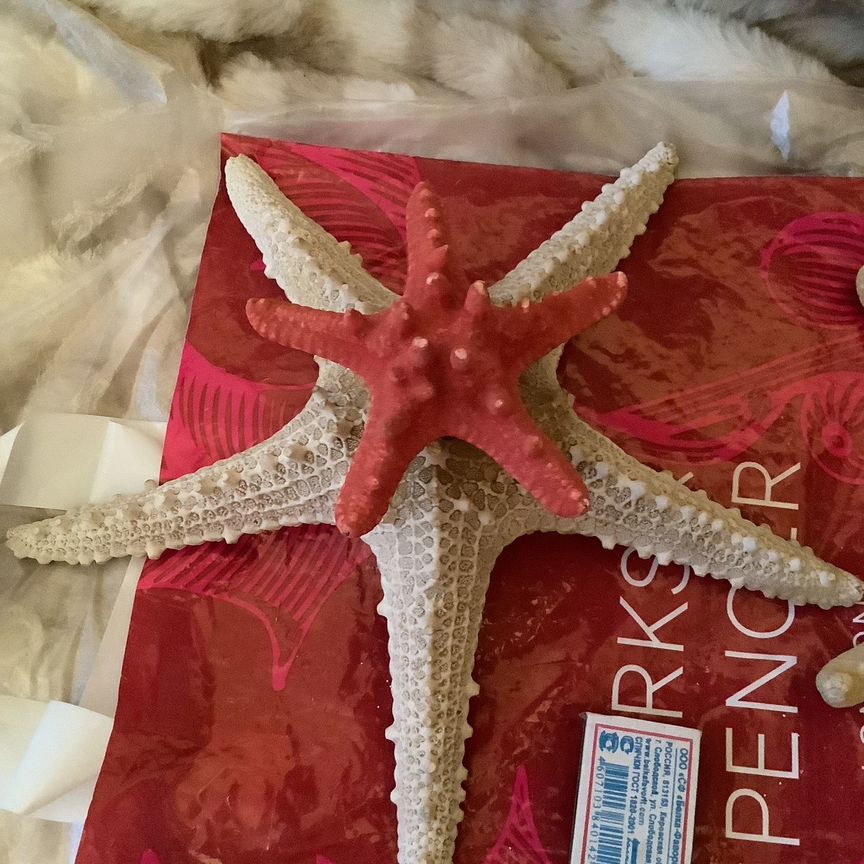 Аквариум морские звезды