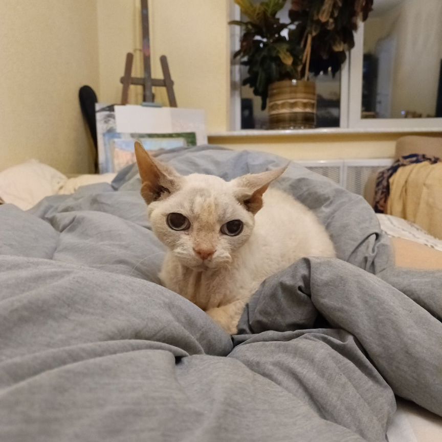 Отдаётся в самые добрые руки