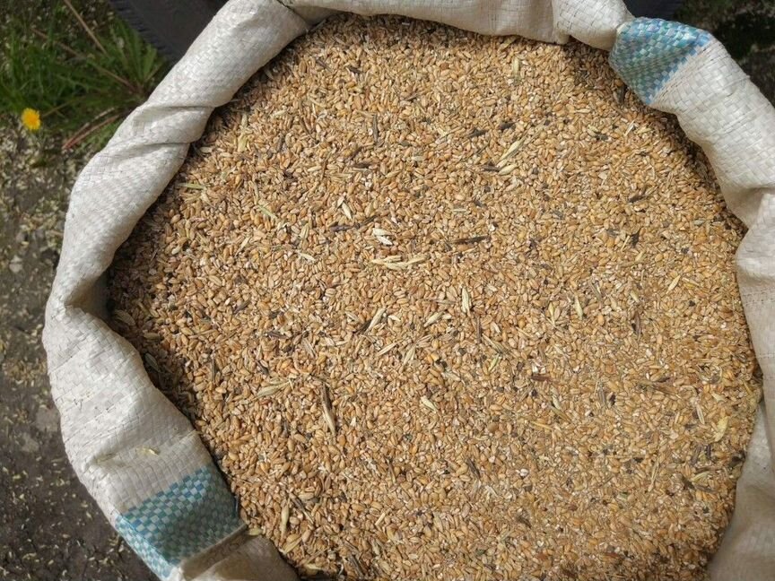 Отруби пшеничные оптом