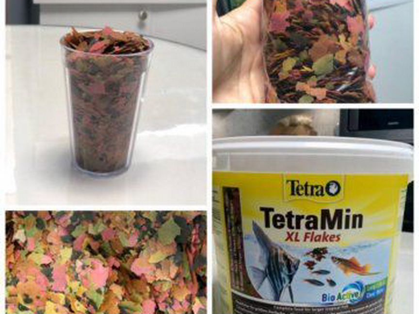 Корм-Хлопья рыбкам,сомикам,креветкам