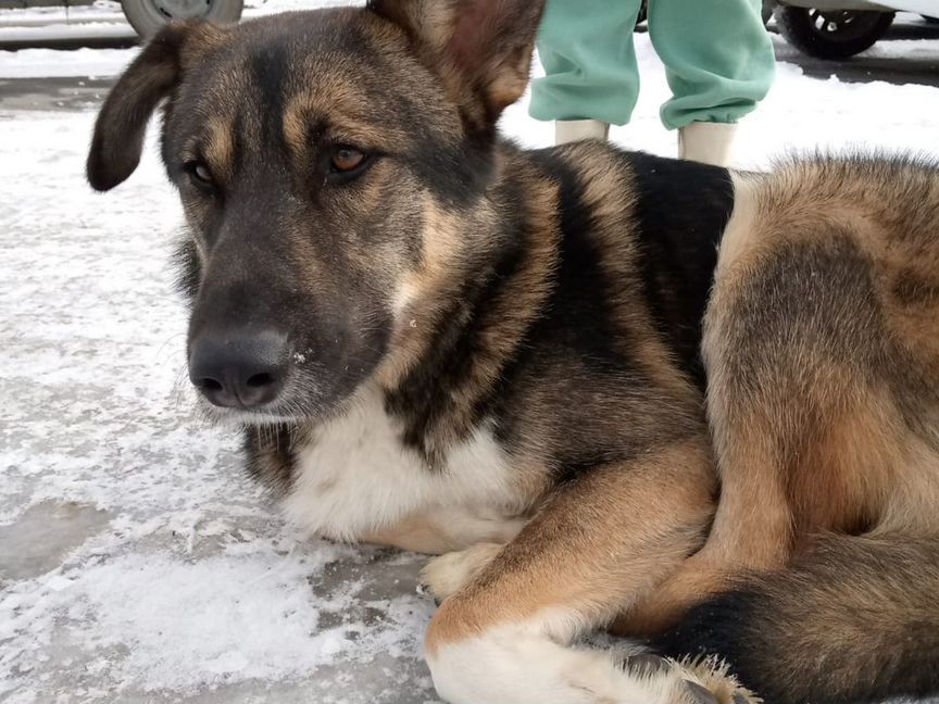 Кабель 1 год в добрые руки, дружелюбный