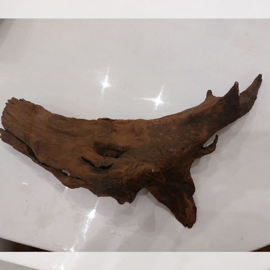 Коряга в аквариум мангровая