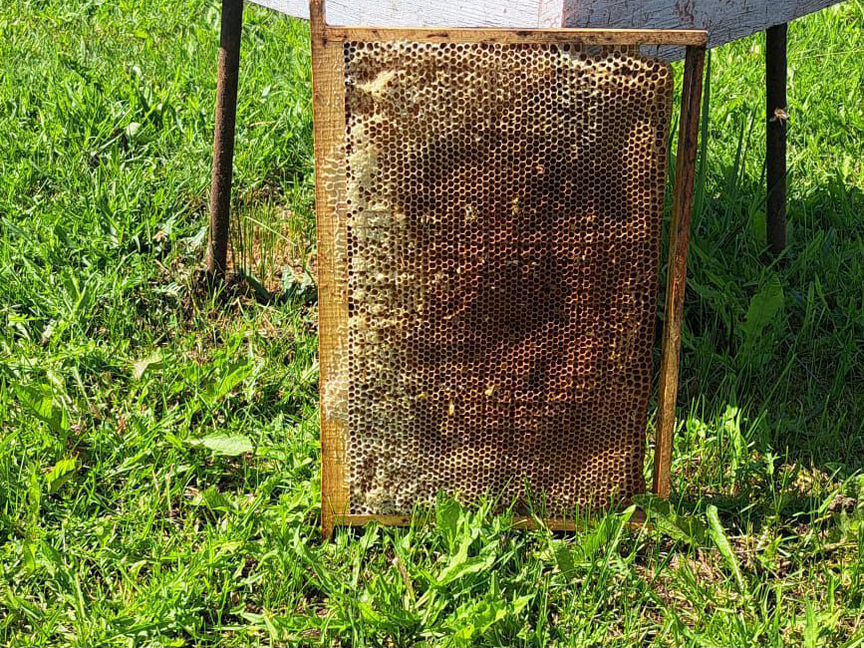 Рамки с сушью