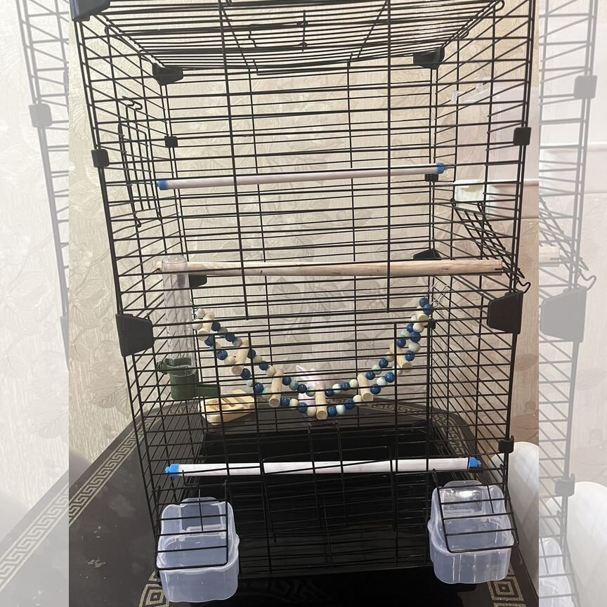 Новая клетка для попугая